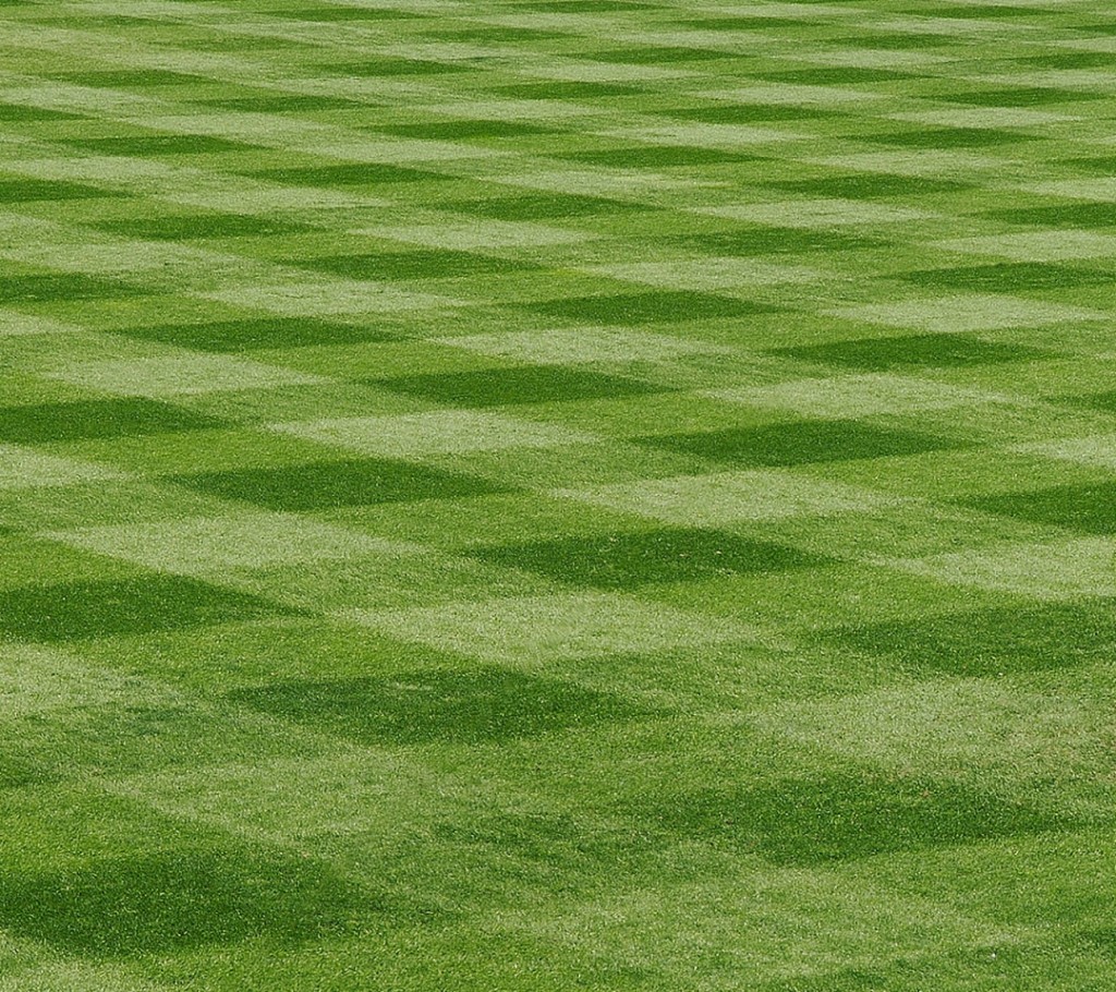 Baseball Fields – Derby Little League